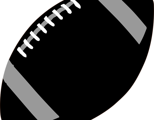 Voices Pt. 1: Gender, Disability, and the Auditory Arena of the NFL w ...